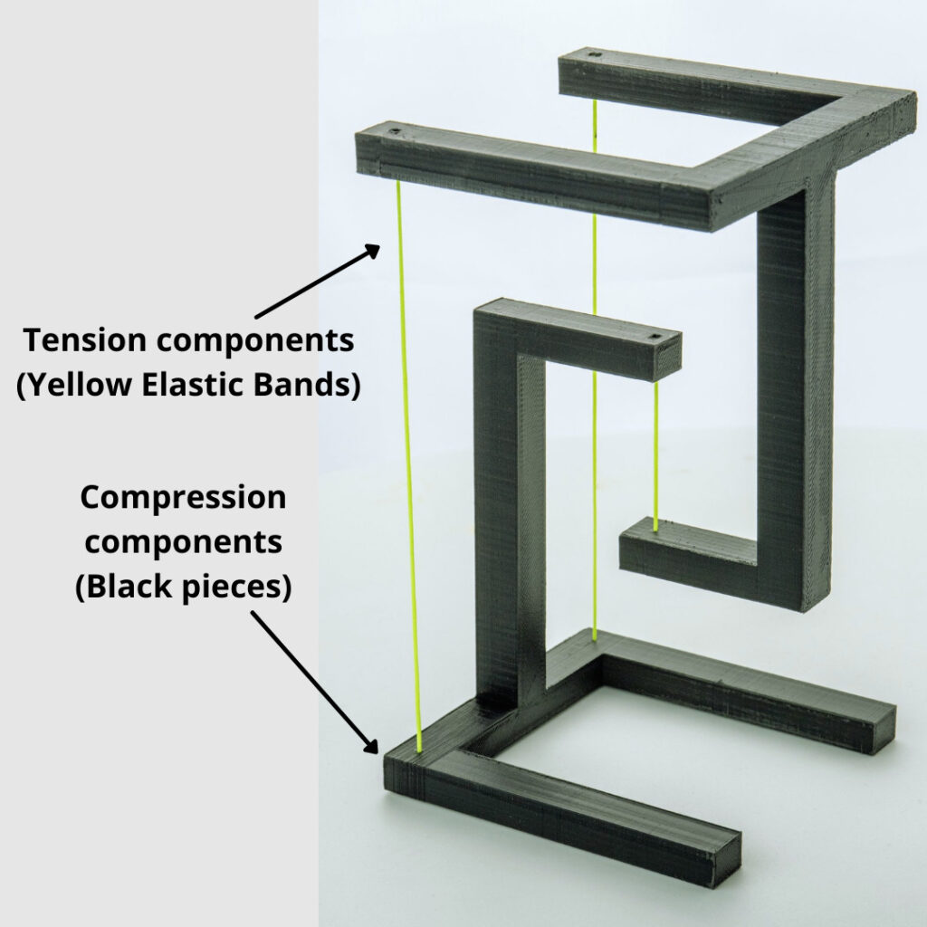 Tensegrity with Yoga - Yoga Path